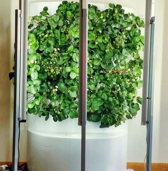 iHarvest Review, Setup & Full Hydroponic Comparison | 2023