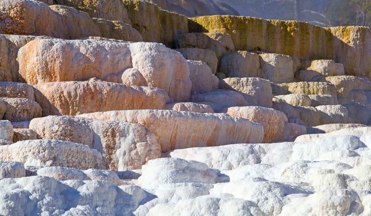 Magnesium And Calcium Deposits at Clyde Rucker blog