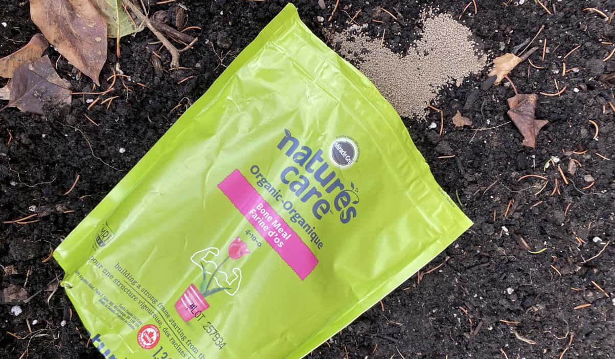 What Is Bone Meal Fertilizer Used For? A Complete Guide