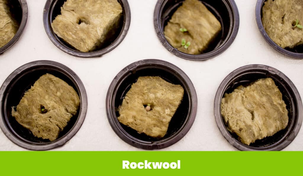 Hydroponic Growing Medium Complete Guide | 18 Types + Best