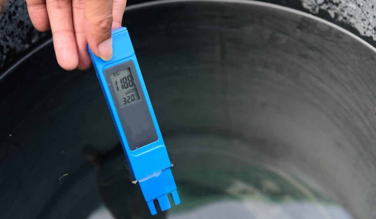 What is Electrical Conductivity in hydroponics | Measure EC