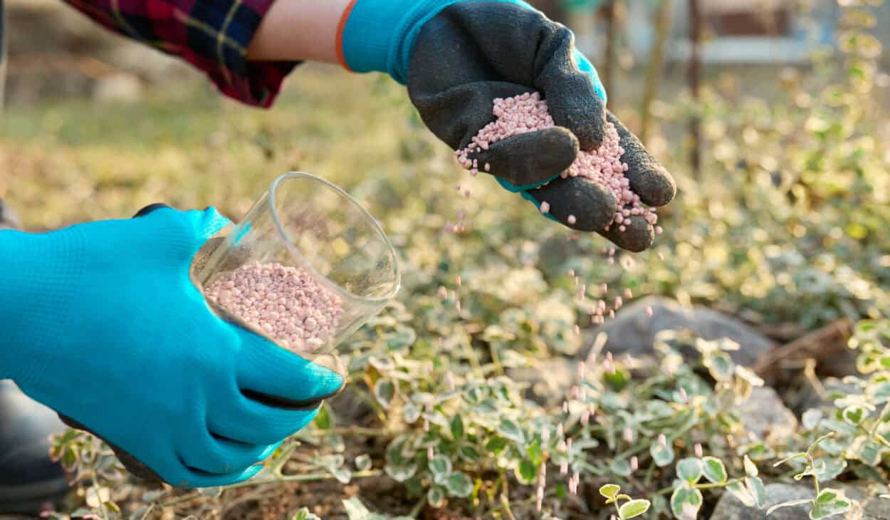 What are the benefits of 16-16-16 Fertilizer? Complete Guide