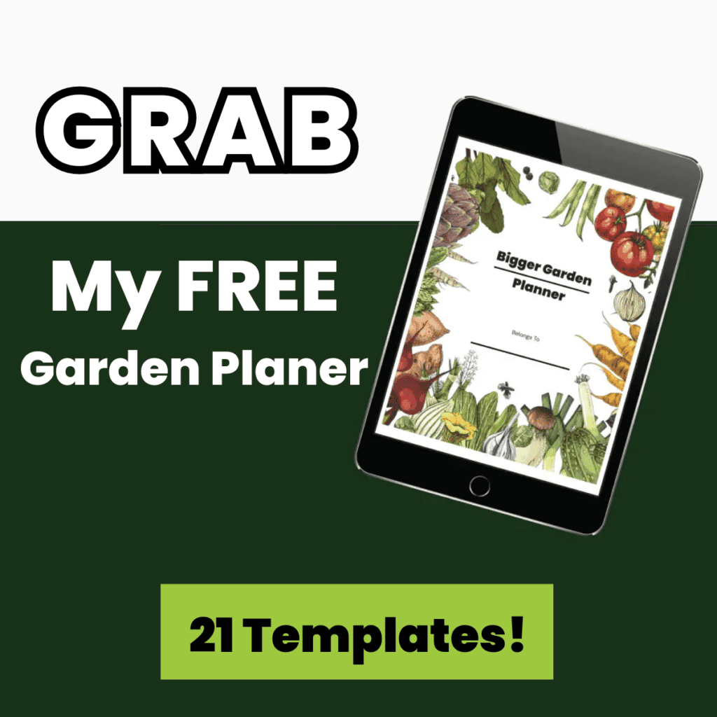 How to Propagate Snake Plant Pups and Re-pot Them