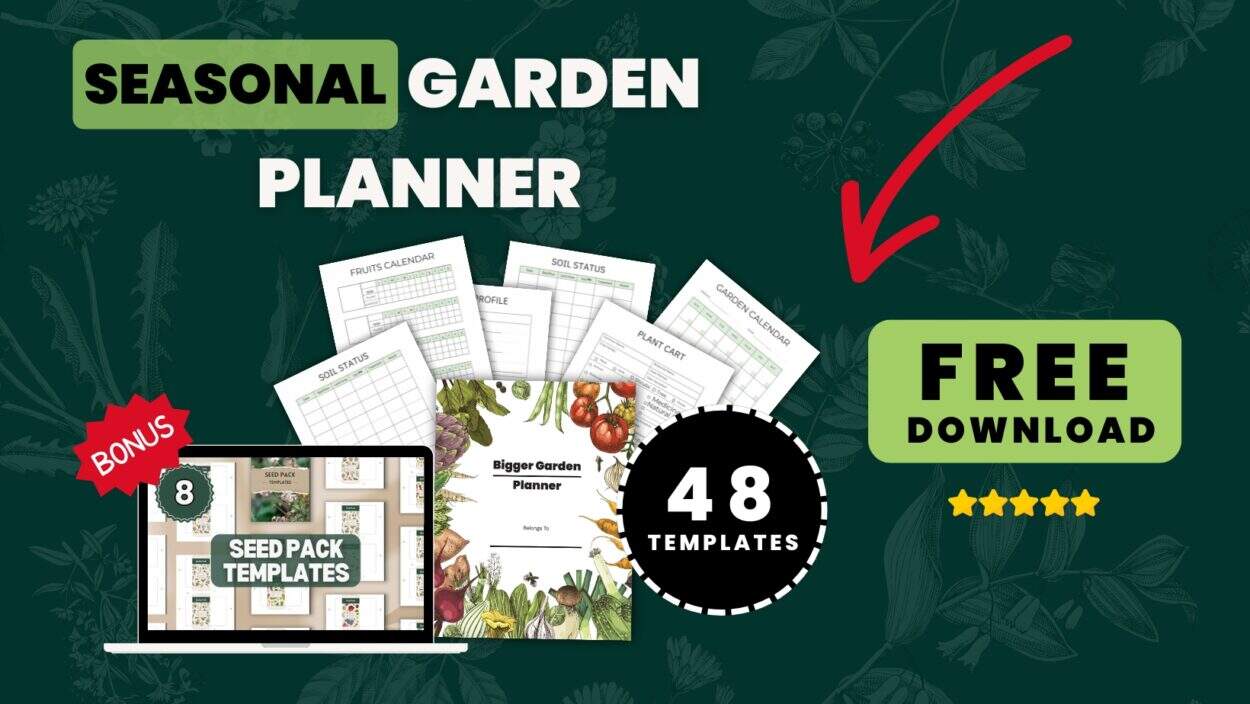 12 Star-Shaped Flowers | Blooming Stars For Your Garden 2023