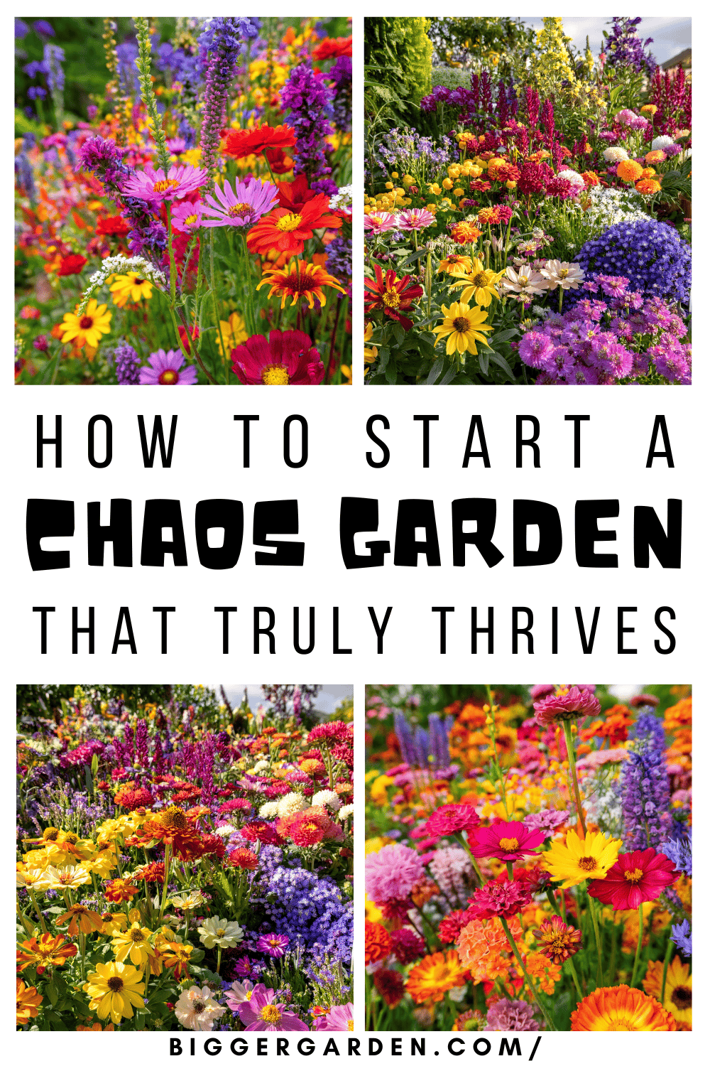Thriving in Disorder: A Visual Guide to Chaos Gardening | Bigger Garden