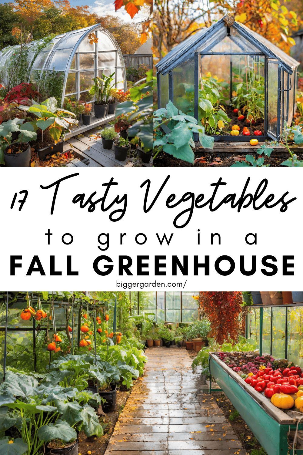 17 Vegetables to Grow in Fall Greenhouses | Bigger Garden