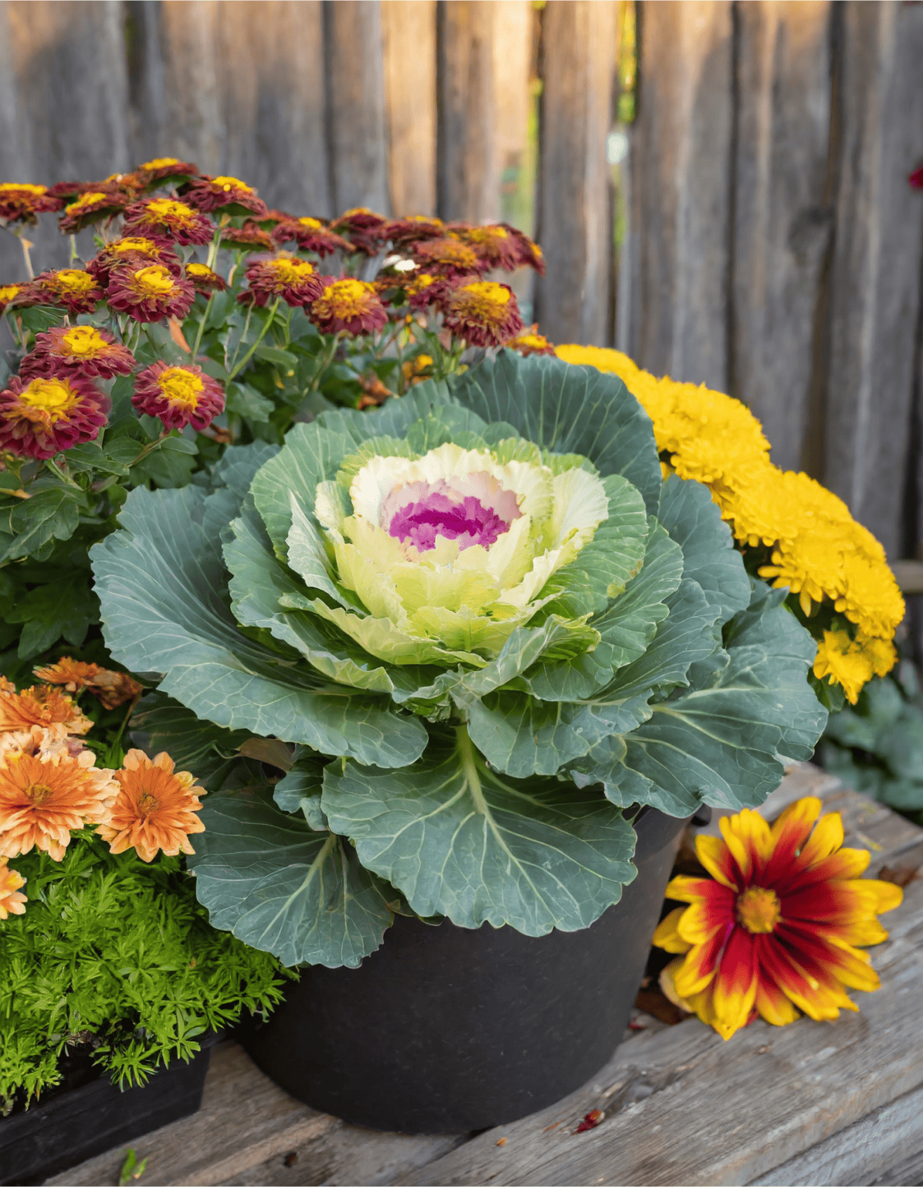 11 Stunning Fall Flower Arrangements for Pots | Bigger Garden