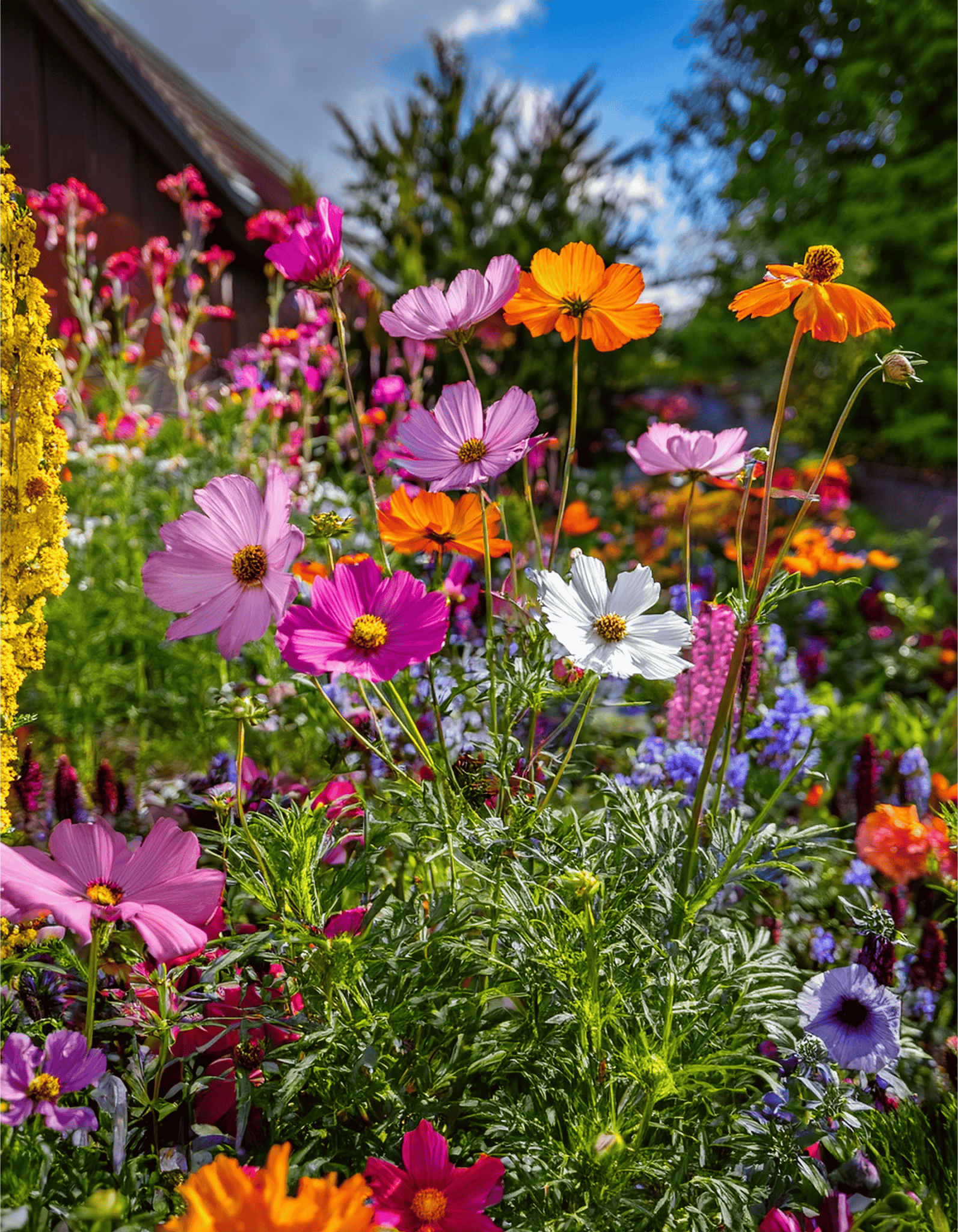 Thriving in Disorder: A Visual Guide to Chaos Gardening | Bigger Garden