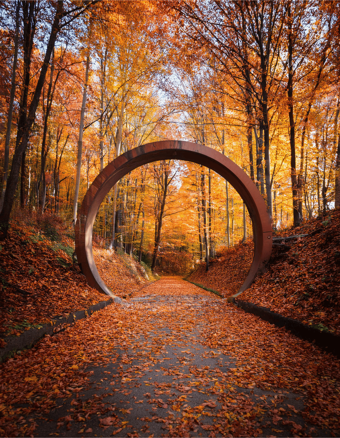 9 Enchanting Moon Gate Entrances to Transform Your Garden | Bigger Garden