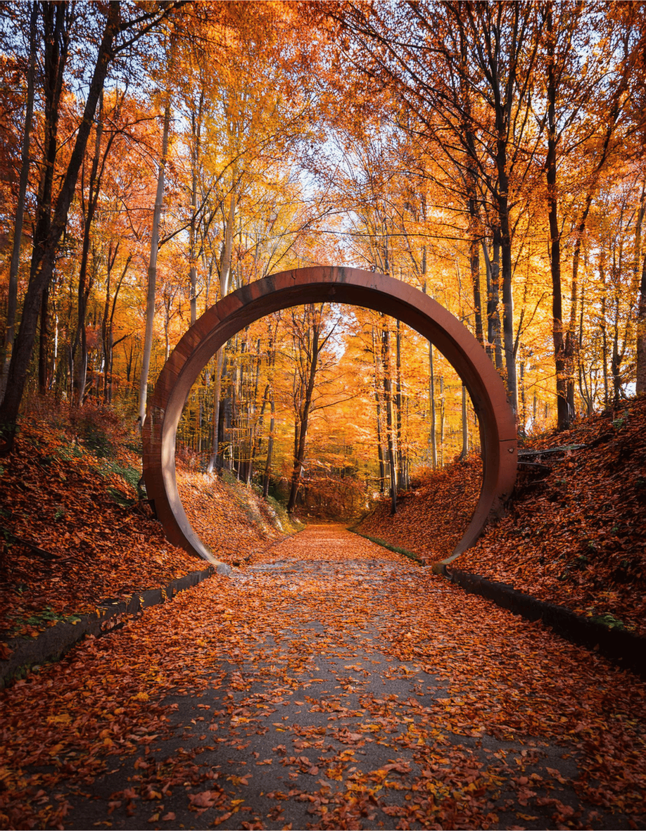 9 Enchanting Moon Gate Entrances to Transform Your Garden | Bigger Garden