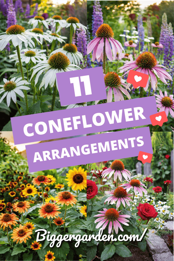 11 Creative Echinacea Flower Arrangement Ideas for Every Style and ...