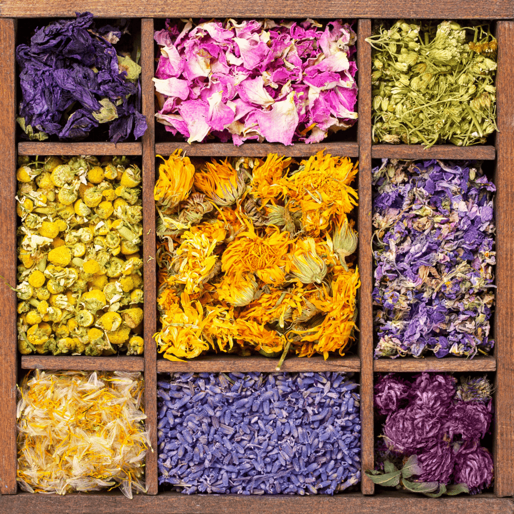 How to Create a Healing Tea Garden With These 11 Plants