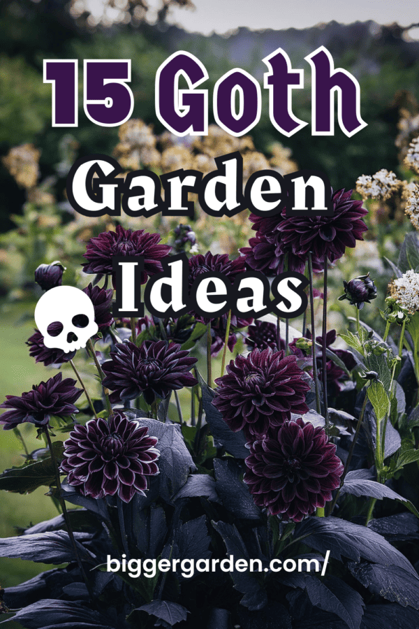 15 Plants For Your Goth Garden: Dark Blooms and Foliage