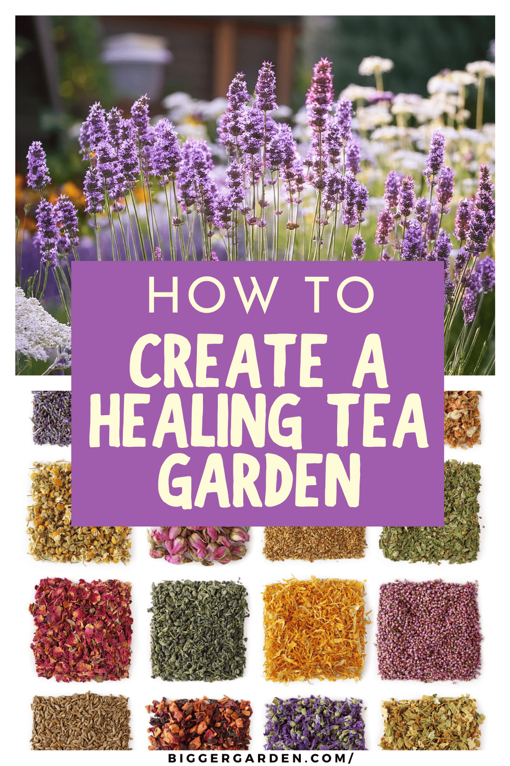 How to Create a Healing Tea Garden With These 11 Plants