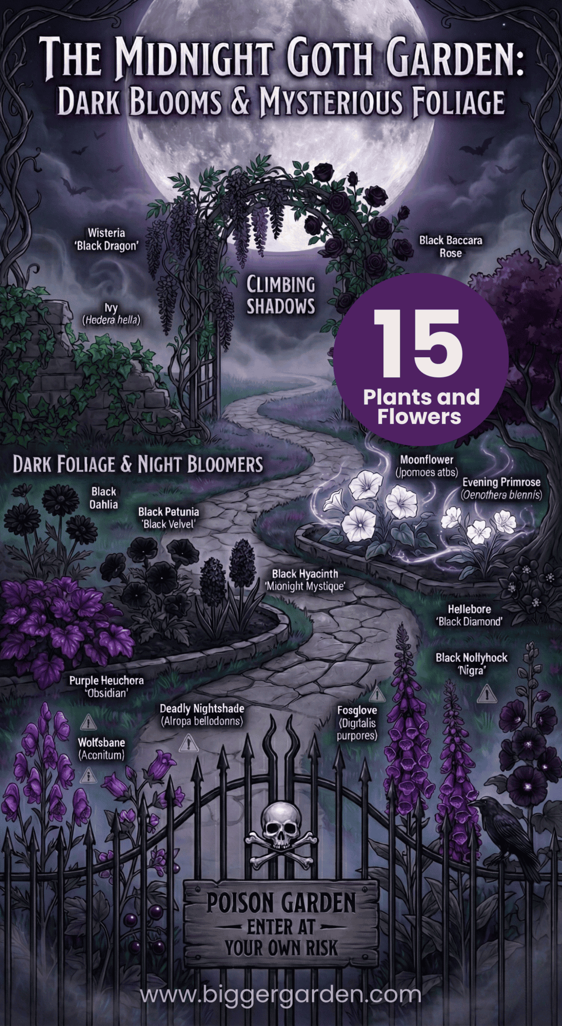 15 Plants For Your Goth Garden: Dark Blooms and Foliage
