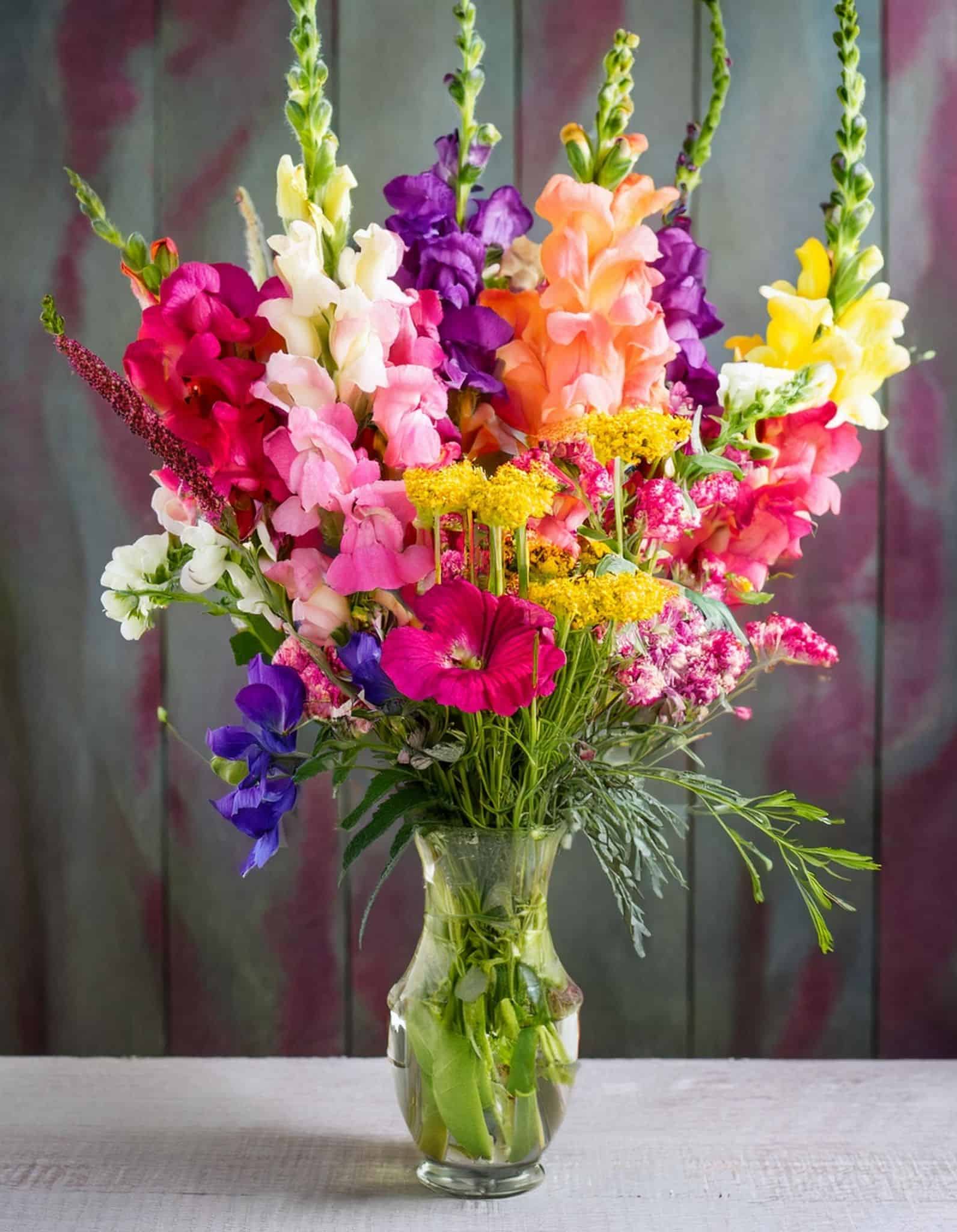 9 Stunning Snapdragon Bouquet Ideas for Any Occasion | Bigger Garden