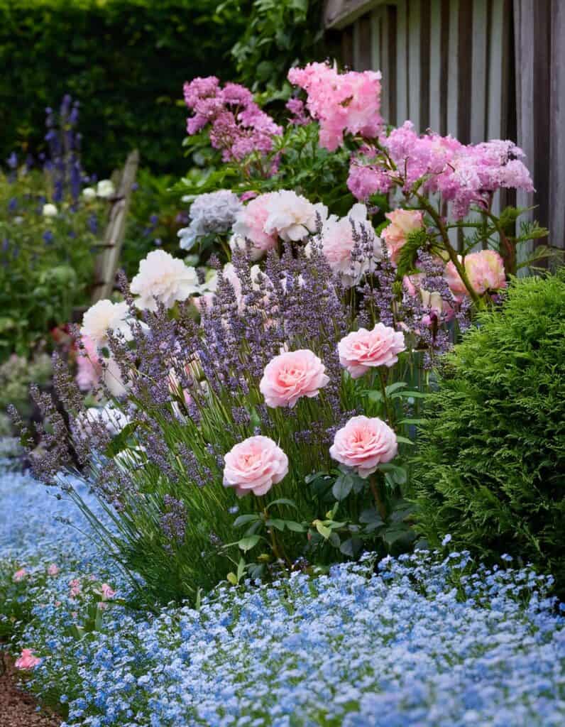 12 Ideas To Explore Different Color Schemes To Try in Cottage Gardens ...