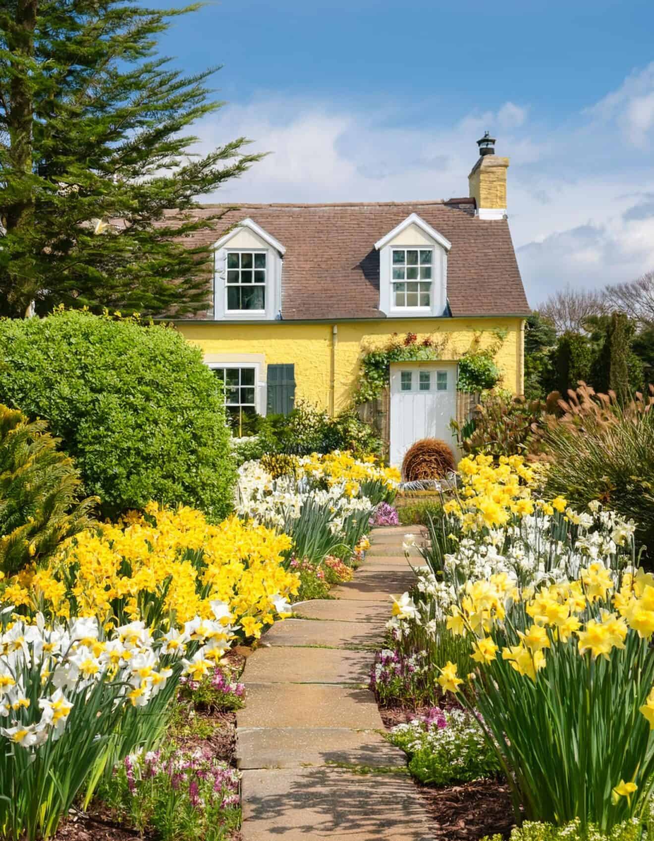 12 Ideas To Explore Different Color Schemes To Try in Cottage Gardens ...
