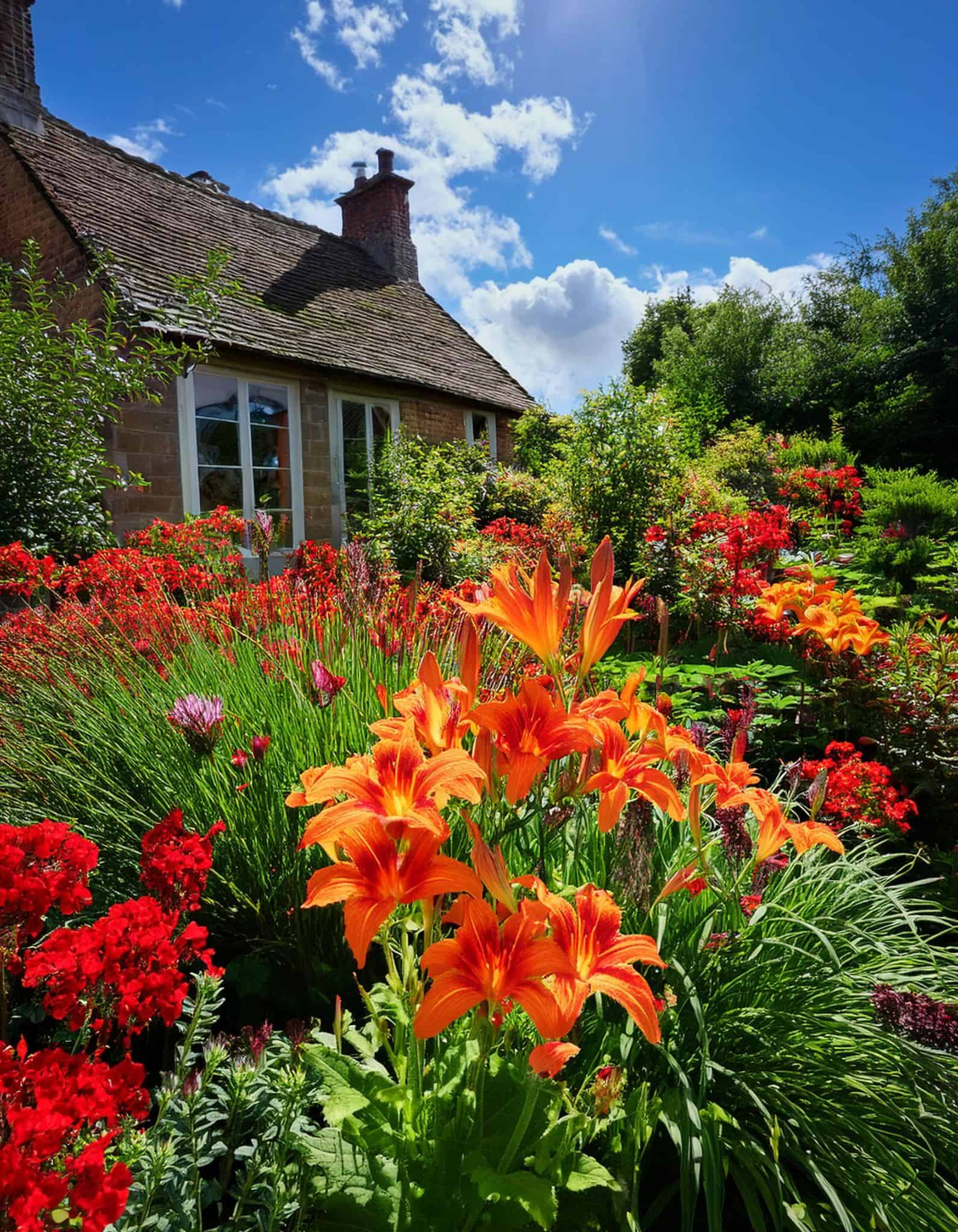 12 Ideas To Explore Different Color Schemes To Try in Cottage Gardens ...