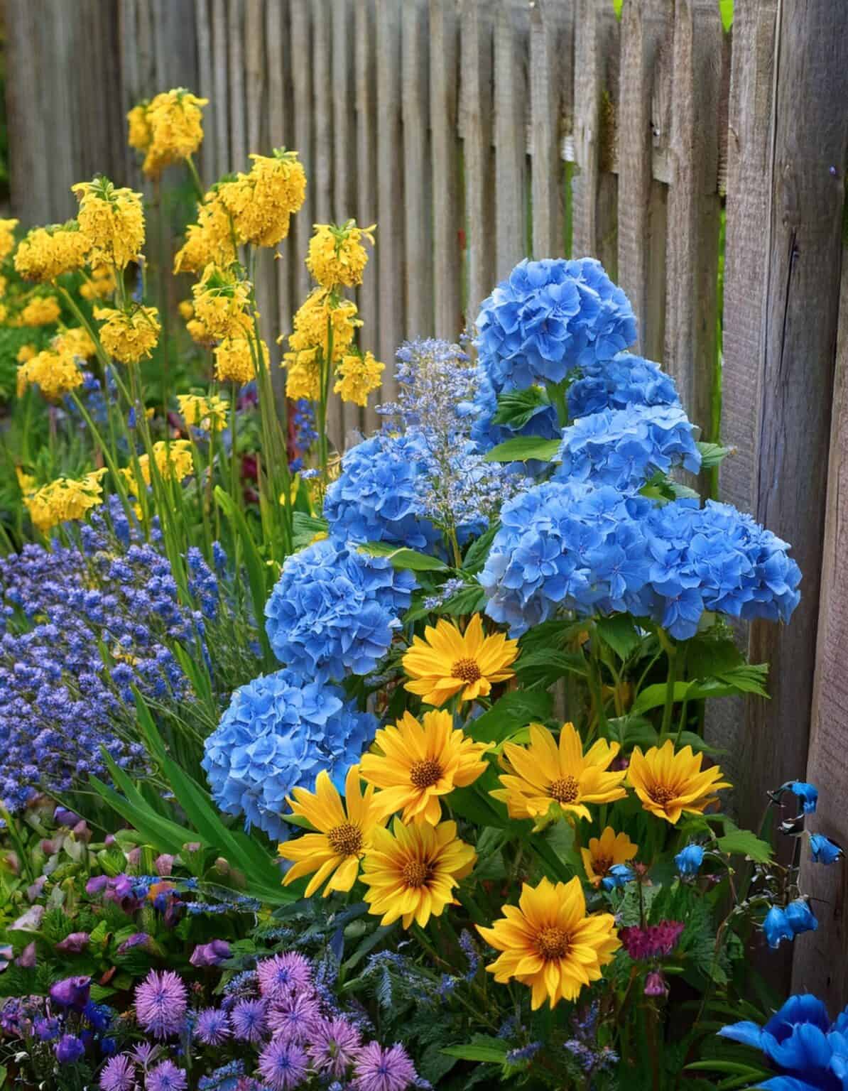 12 Ideas To Explore Different Color Schemes To Try in Cottage Gardens ...