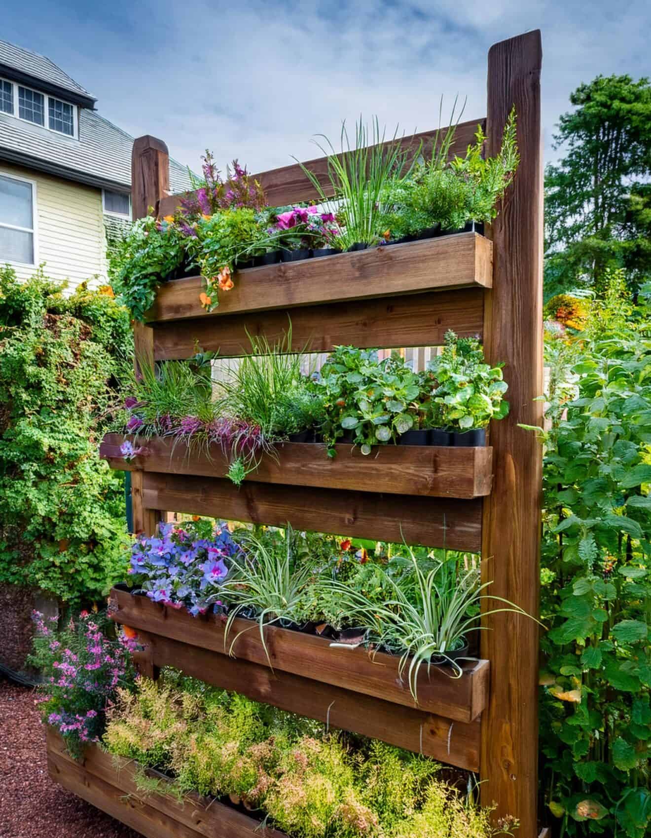 15 Stunning Living Privacy Fence Ideas to Transform Your Garden ...