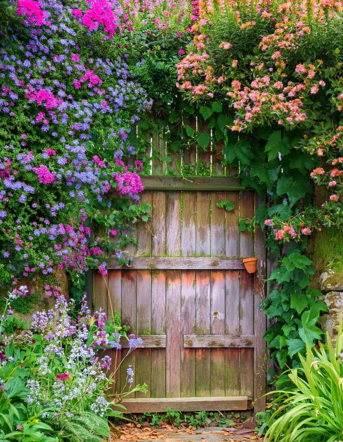 11 Charming Garden Gate Ideas to Transform Your Outdoor Space | Bigger ...