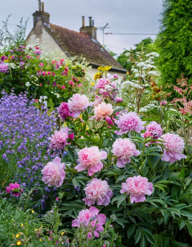The Kratky method: A Passive Hydroponic way to grow indoors
