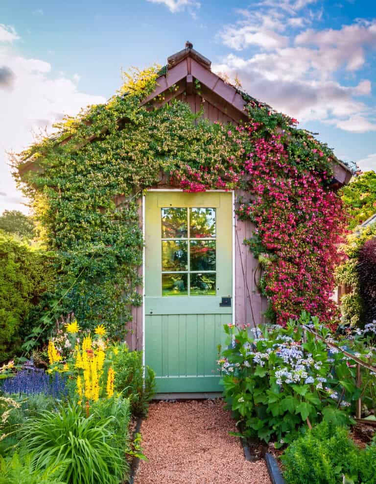 11 Cottage Garden She Sheds with Pairing Plants | Bigger Garden