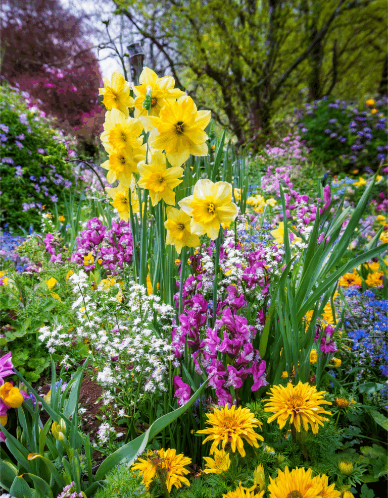 How To Use Rooting Hormones? A complete Guide To Growing