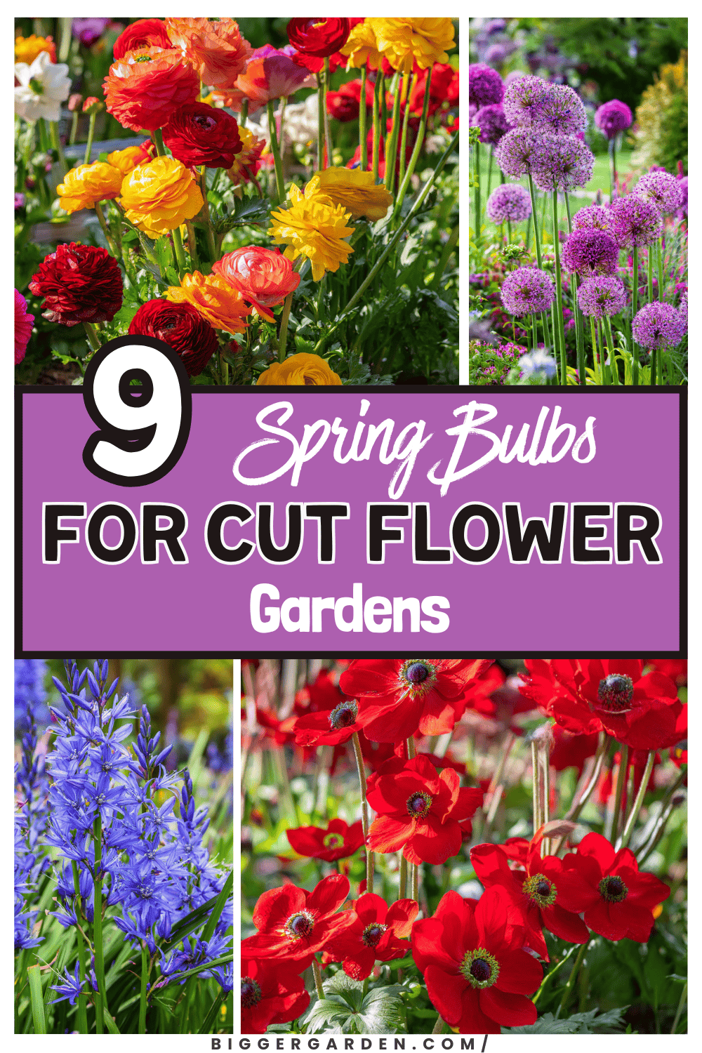 9 Best Bulbs for Spring Cut Flower Gardens | Bigger Garden